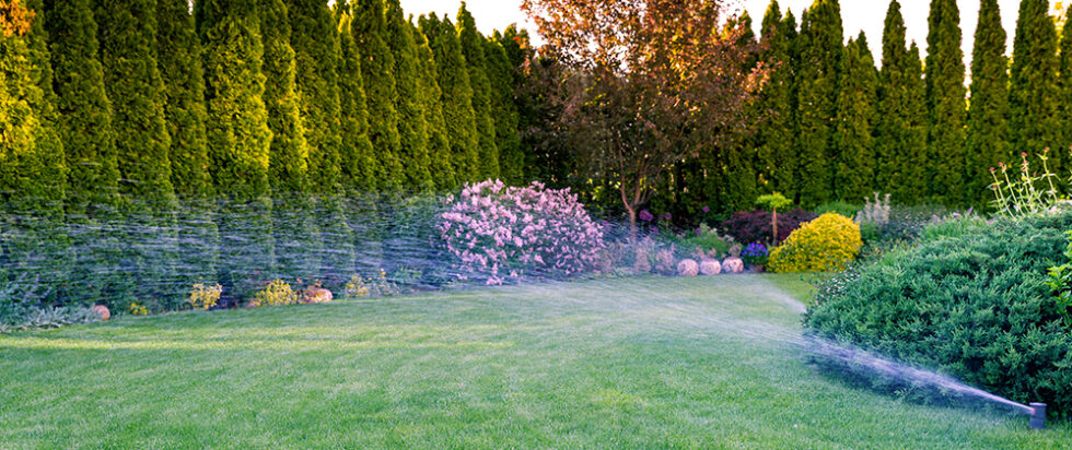 The Best Way to Water Your Landscape