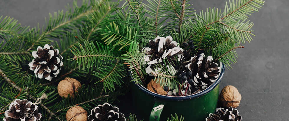 How to Decorate for the Holidays with Greenery and Plants