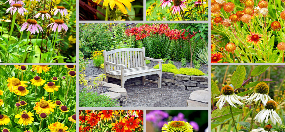 How to Create a Garden Vision Board - Meyer Landscape