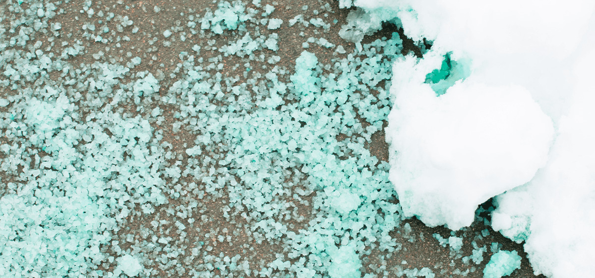 How to Protect Your Plants from Salt Damage - Meyer Landscape